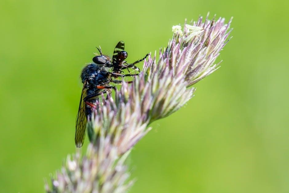 Download FGI Guidelines 2022 PDF Free | WorldGUI